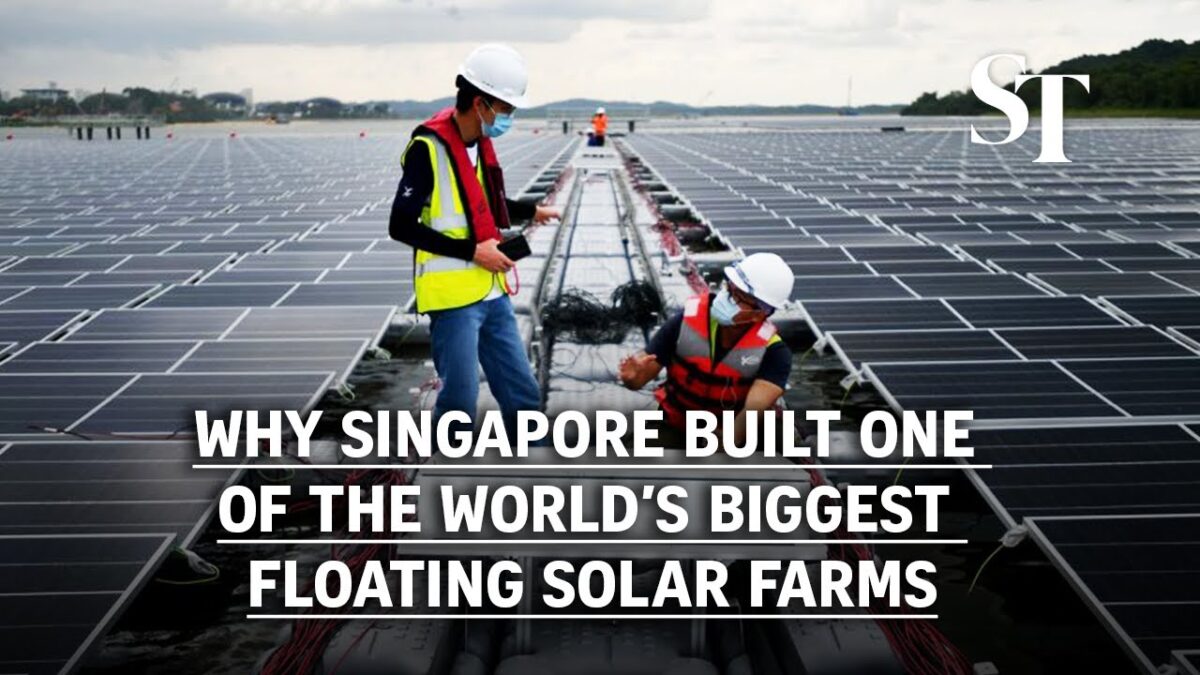 One of the Worlds Biggest Floating Solar Farms In Singapore
