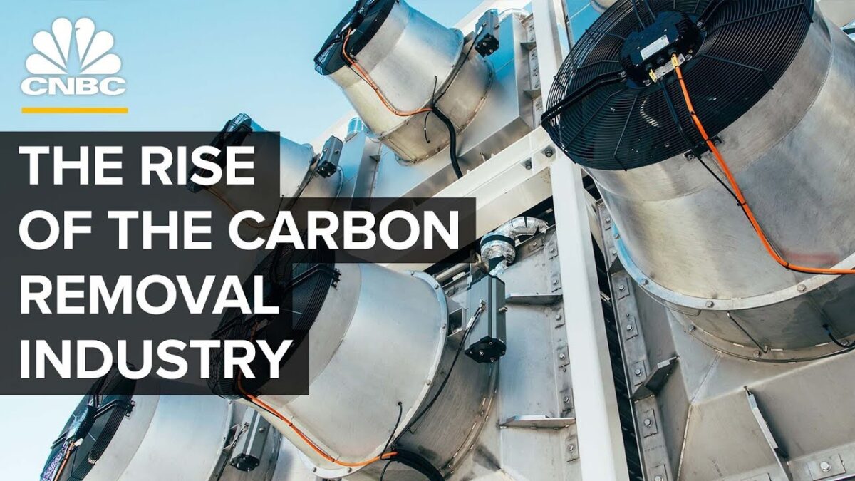 The Ultimate Rise of the Carbon Removal Industry