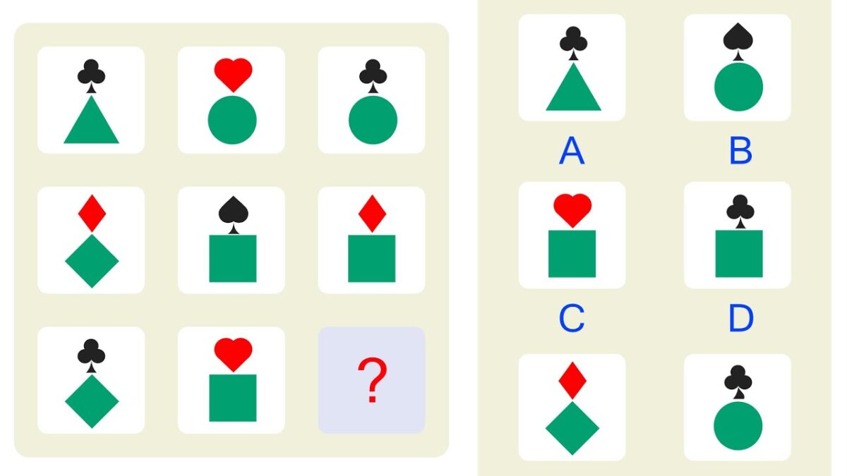 The Progressive Matrices Test Learning Video 1