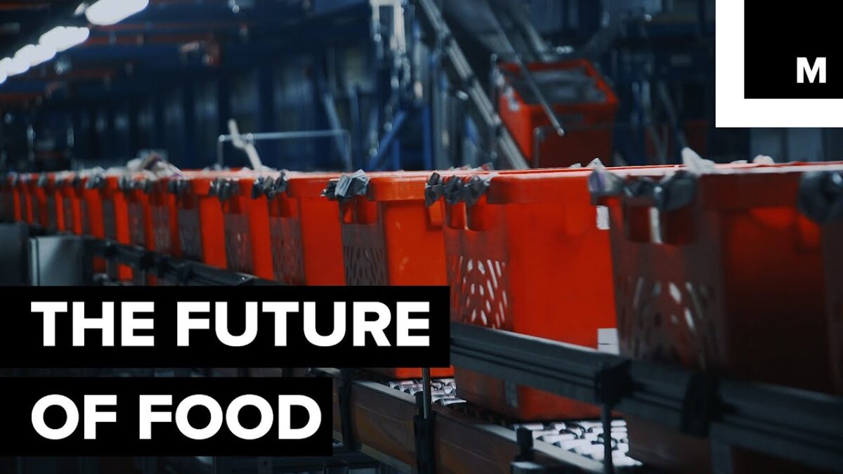 The Ultimate Role of Robotics & Automation in Grocery Stores