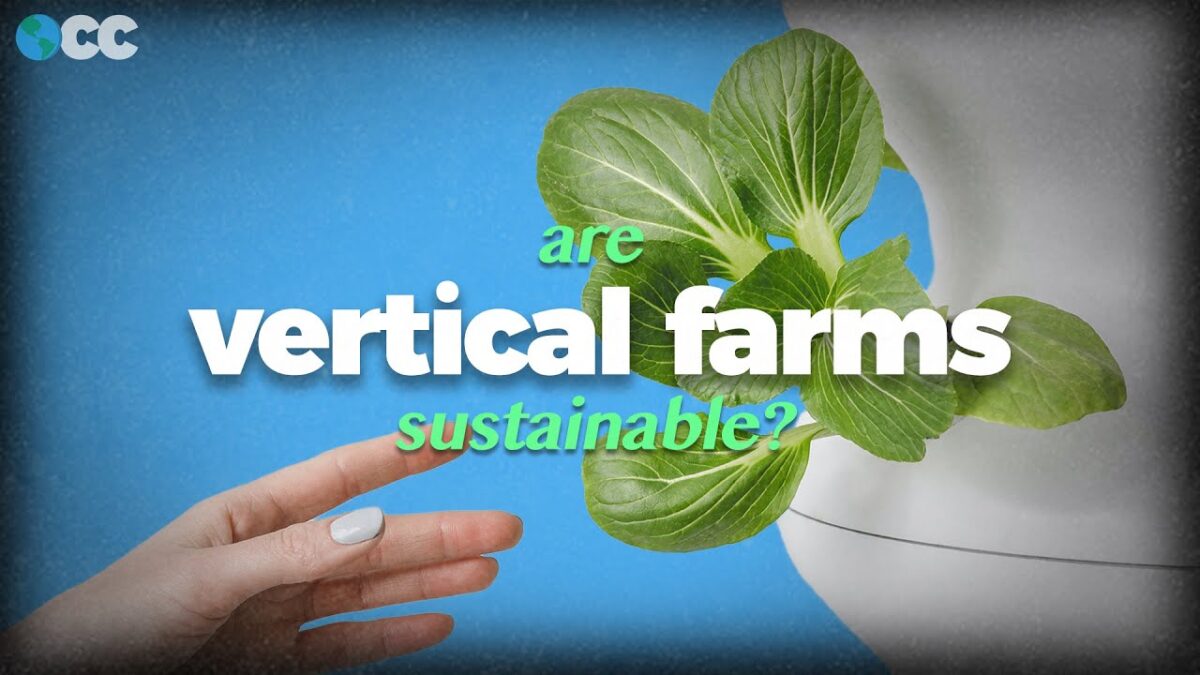 The Advantages & Disadvantages of Vertical Farming